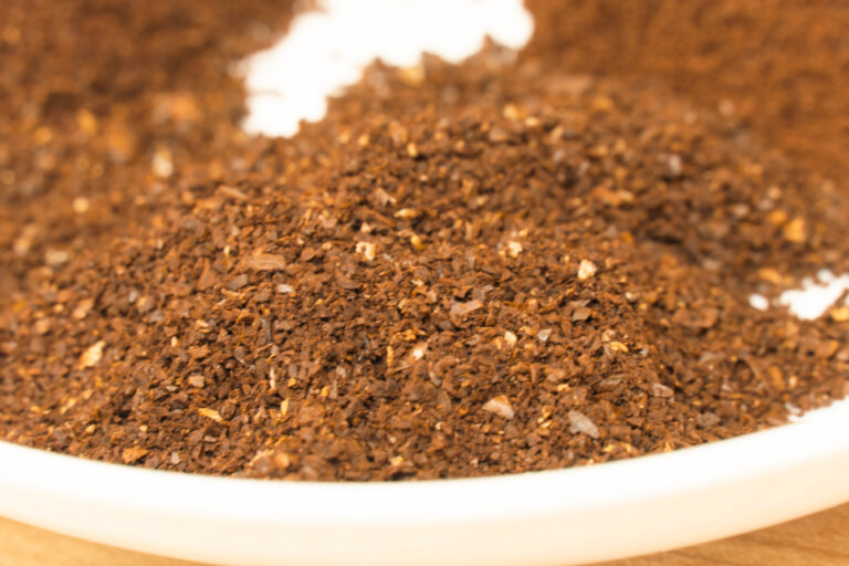 シロカのカフェばこPROを使用レビュー！欲しい機能が全部詰まった全自動コーヒーメーカー - Rentio PRESS [レンティオプレス]