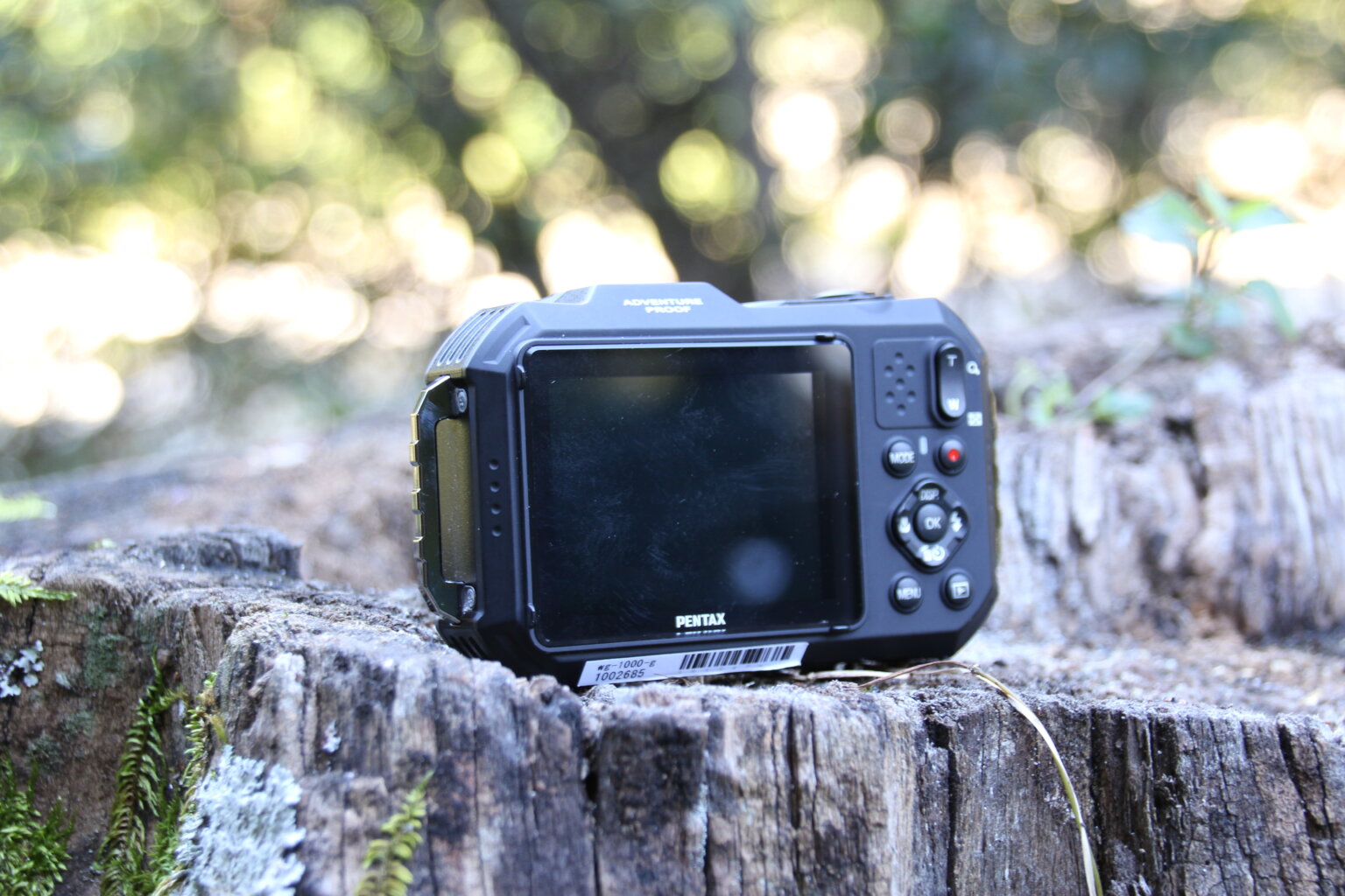 「リコー PENTAX WG-1000」キャンプ場使用レビュー！コンパクトでタフなアウトドア向け防水カメラ - Rentio PRESS [レンティオプレス]